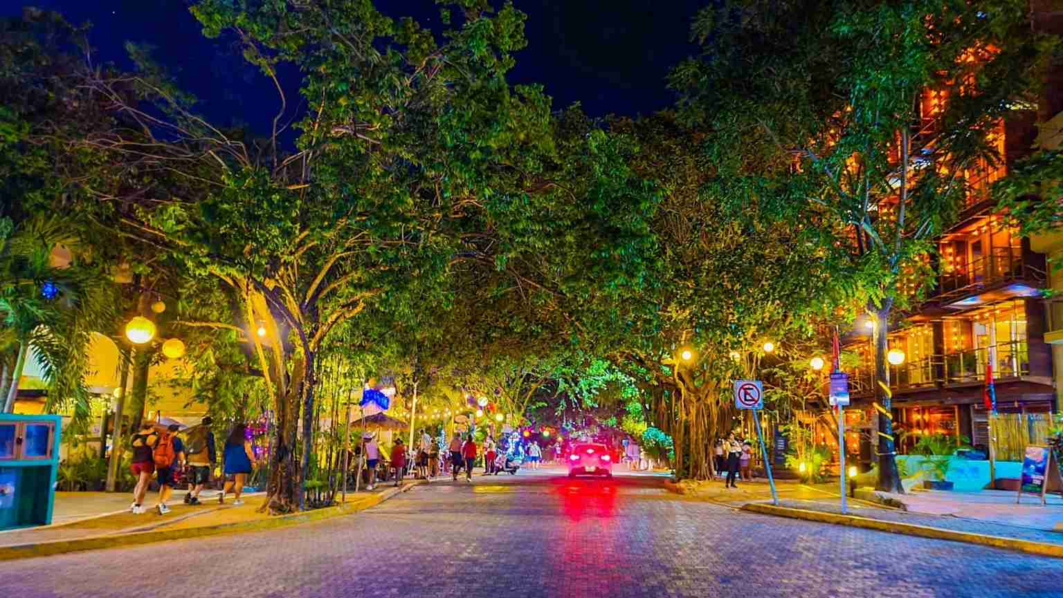 Descubre la Famosa Calle 38 en Playa del Carmen - Selvanova Residencial